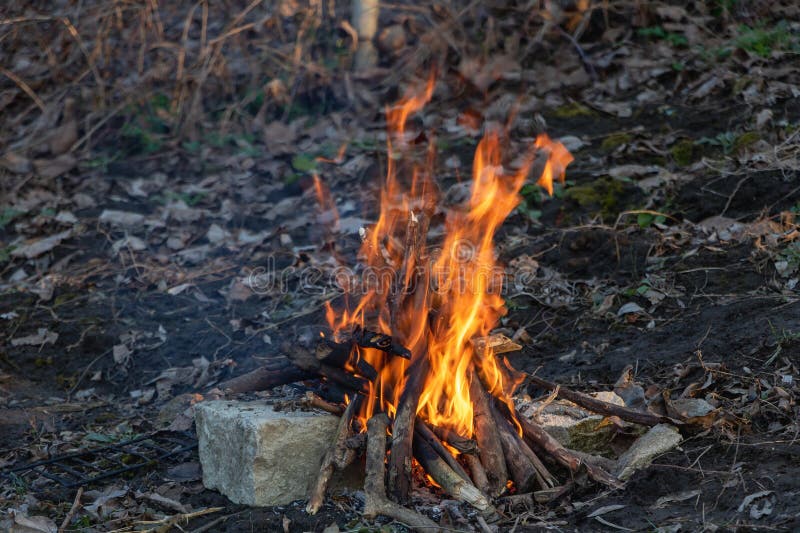 A Small Fire is Burning in the Woods, Surrounded by Sticks and Stones ...