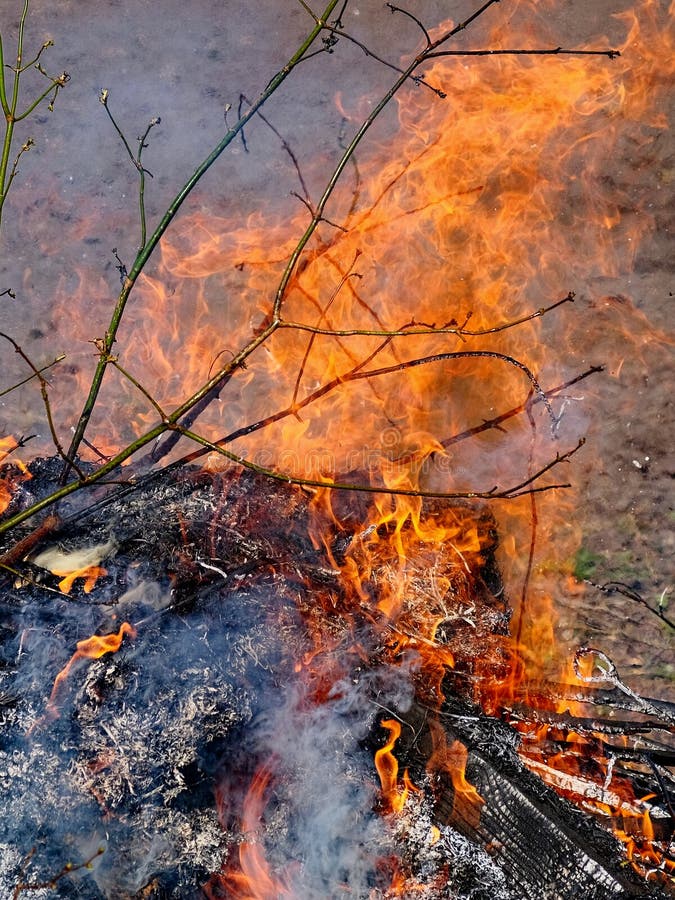 A Small Fire Burns Amidst Ashes and Smoke Stock Photo - Image of ...