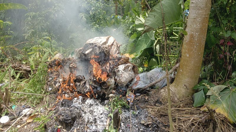 A Small Fire Burns in a Forest, Fueled by Plastic and Other Trash ...