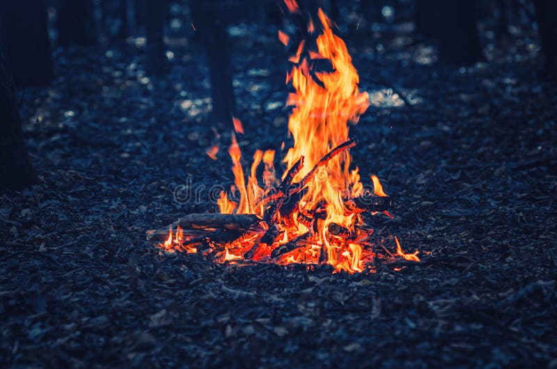 Small Fire in the Forest at Night. Igniting the Plow in the Forest ...