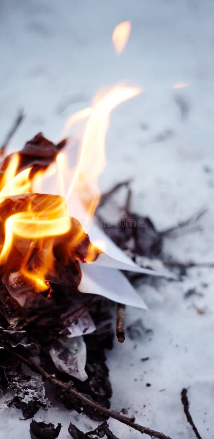 A Small Fire in the Forest in the Winter Stock Photo - Image of black ...