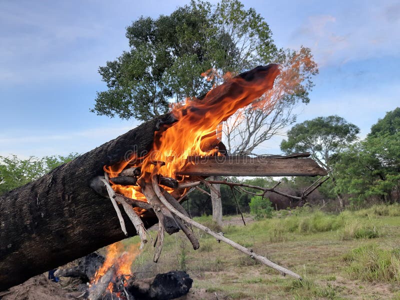 Small Fire in the Jungle Very Heat Stock Photo - Image of fire, small ...