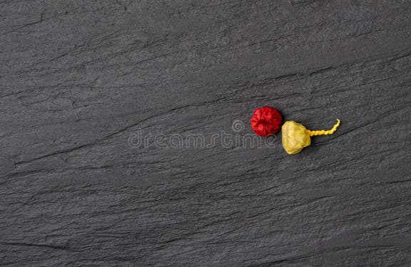 Small Firecrackers, Celebration Dynamite, Kids Pyrotechnics, Fire ...