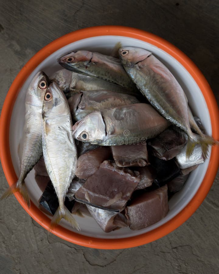 Small Fish in the Basin before Cooking. Stock Image - Image of natural ...