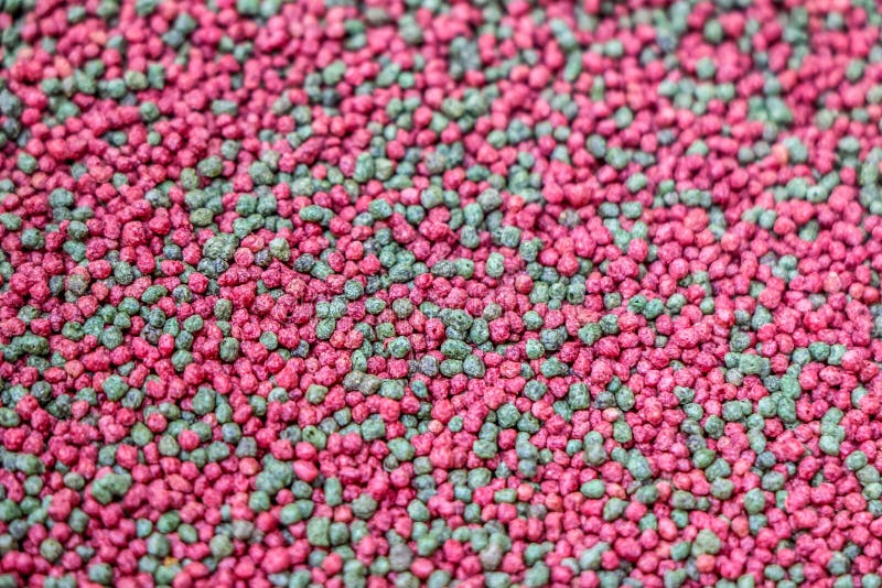 Small Fish feed stock photo. Image of color, group, grain - 61933220