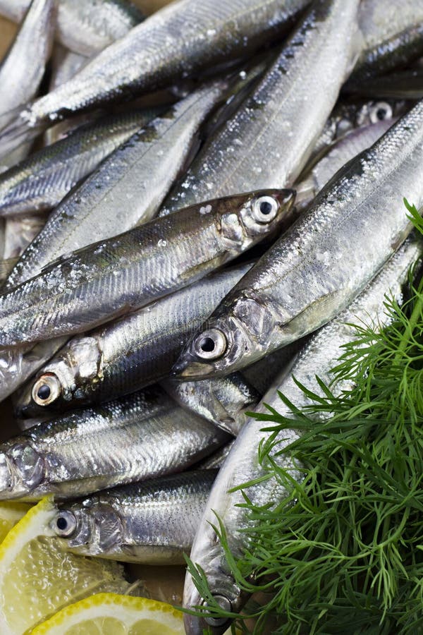 Small Fish, Natural Omega 3 Stock Photo - Image of freshness, cooking ...