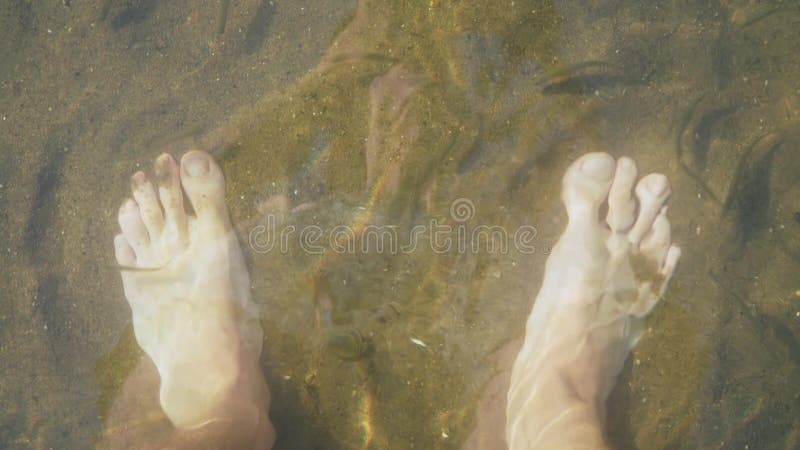 Small Fish in the River Doing Foot Massage, Spa. Clear Water and Sandy ...