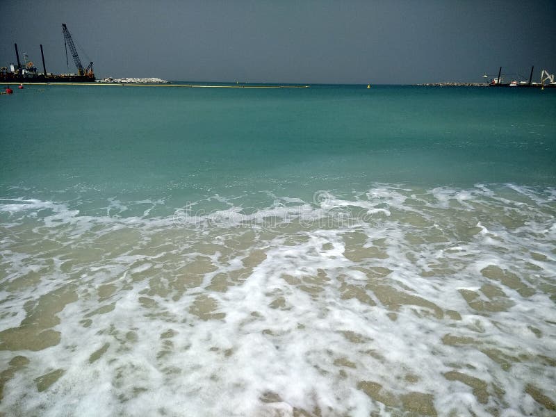 Small Fish in the Water of Dubai Stock Photo - Image of tropical ...