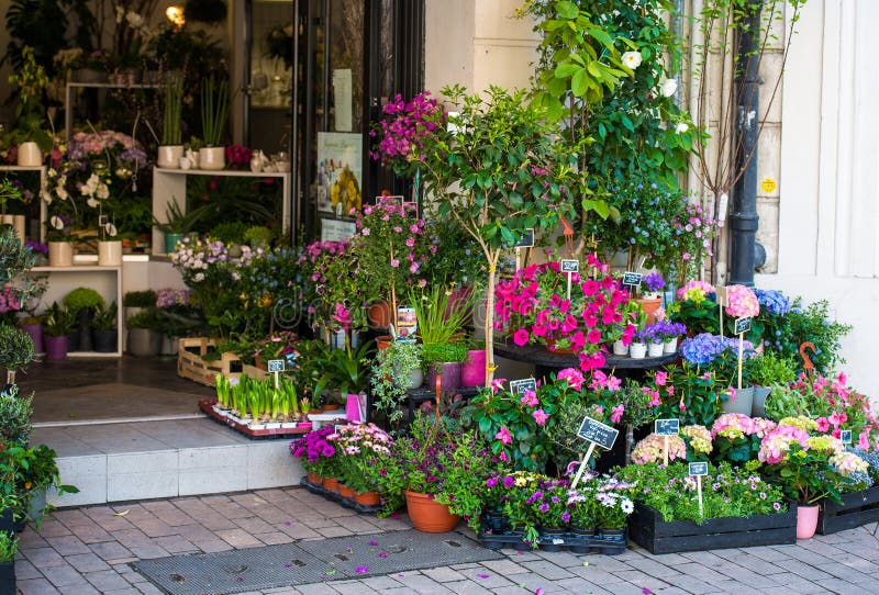 Small flower shop stock image. Image of gift, city, symbol - 55971401