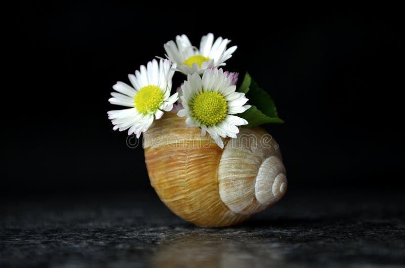 Small flowers composition stock photo. Image of board - 90141506