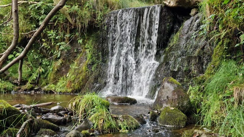 Small Flowing Waterfall with Small Pond and Green Foliage Stock Footage ...
