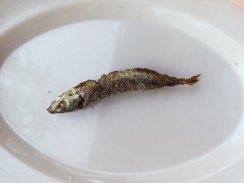 A Small Flying Fish that Has Been Fried for Breakfast, Which is Kept on ...