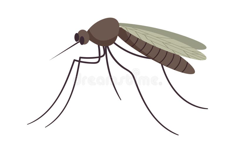 Small Flying Mosquito Insect Stock Vector - Illustration of insects ...