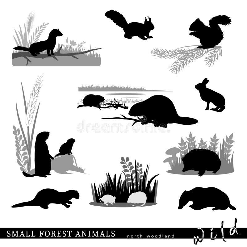 Small Forest Animals, Silhouettes and Scenes. Stock Vector ...