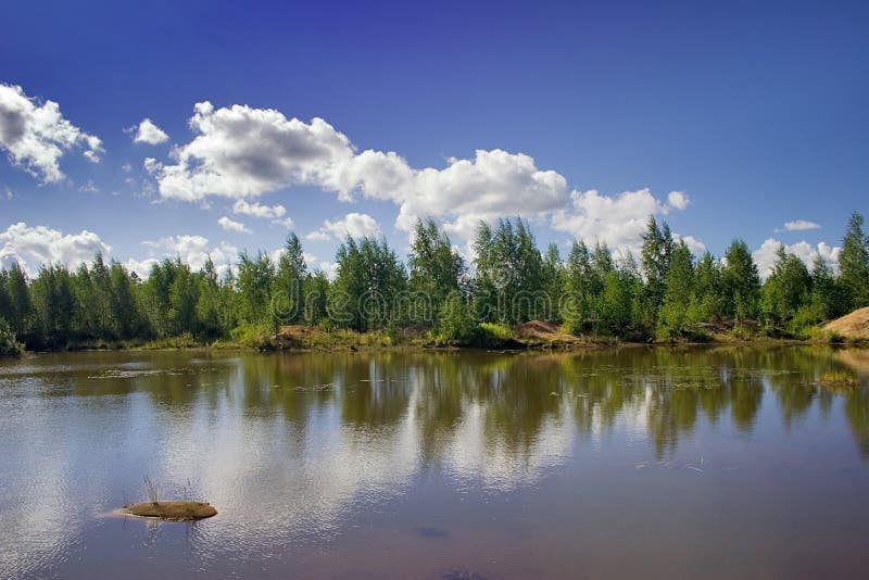 Small forest lake stock photo. Image of outdoors, pattern - 3142320