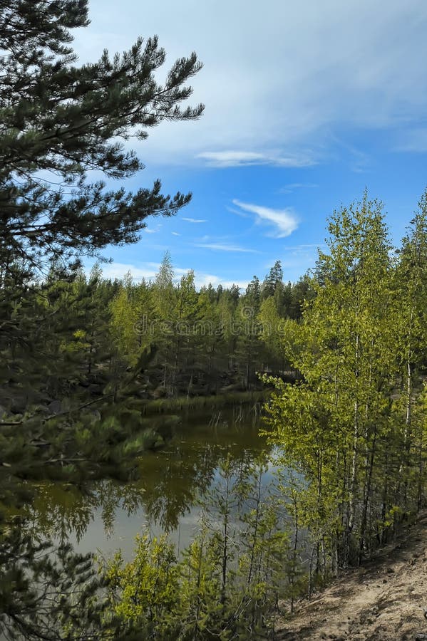 Small forest lake stock image. Image of solitary, dark - 43727611