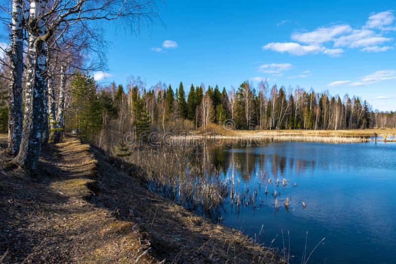 A Small Forest Lake Reflecting a Blue Sky with White Clouds Stock Image ...