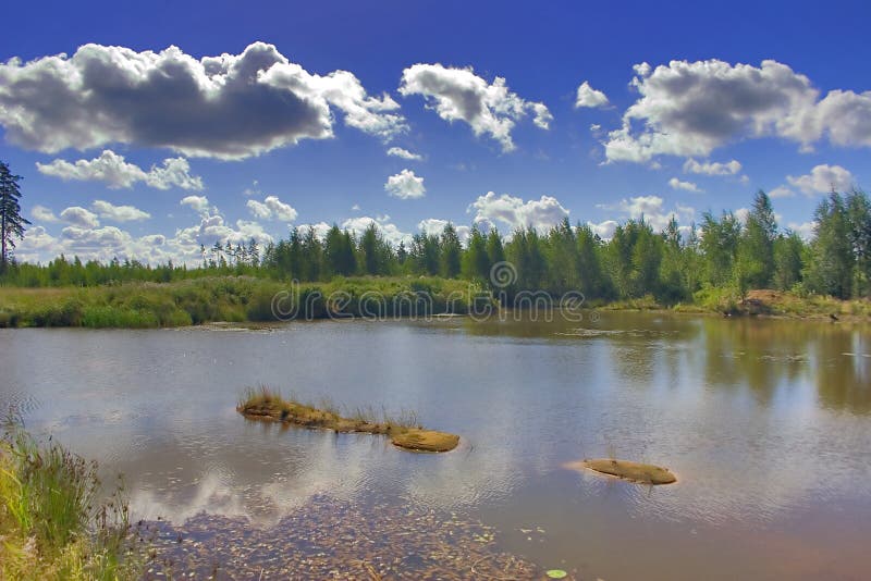 Small forest pond stock image. Image of nature, like, blue - 3161993