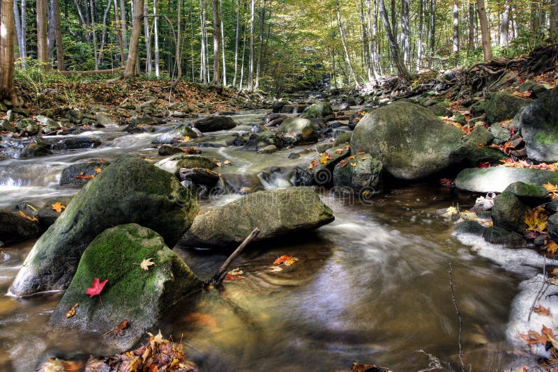 Small forest river stock photo. Image of float, change - 7091496