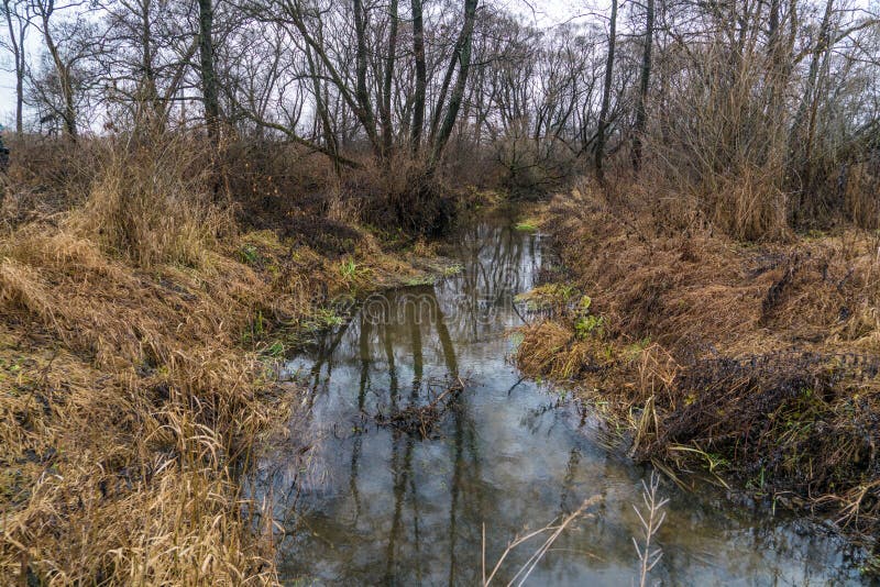 Small Forest River at Autumn Stock Photo - Image of season, evening ...