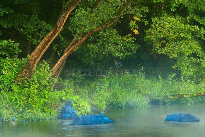 River in the early morning stock image. Image of beauty - 123377905