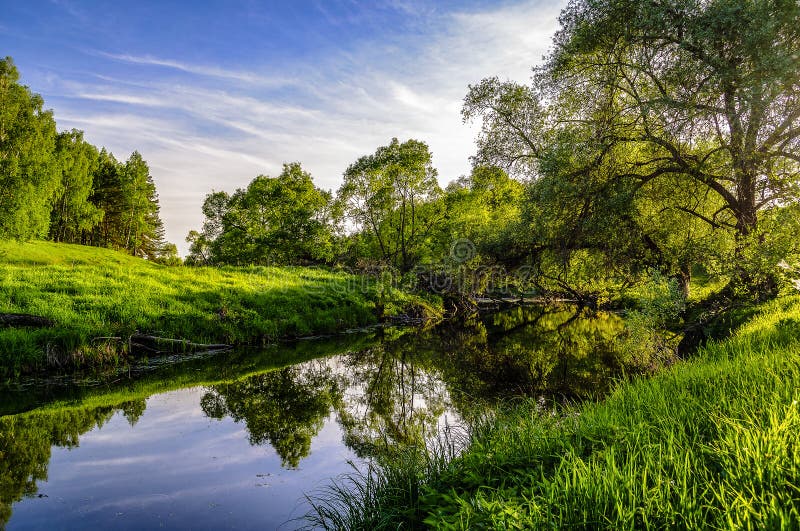 A Small Forest River and Its Banks on a Spring Evening Stock Photo ...