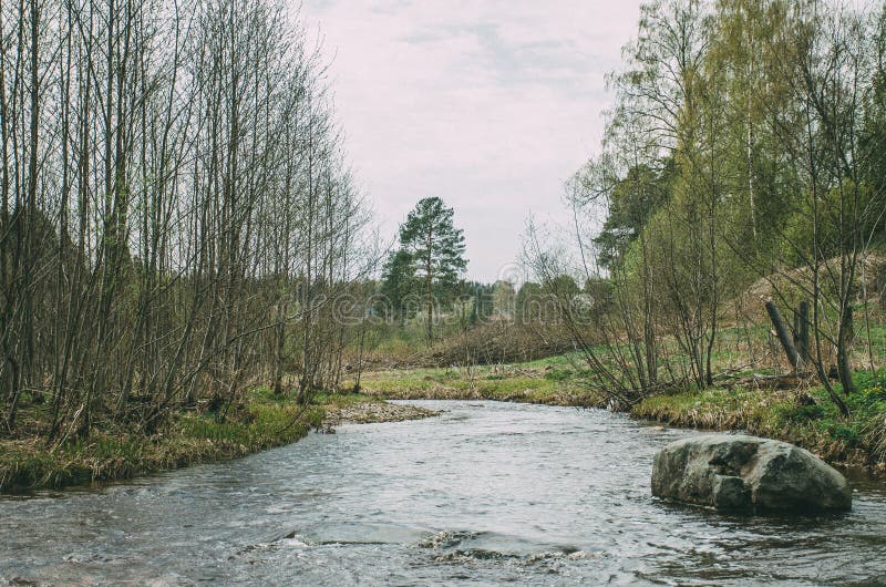 A Small Forest Stream with Rocks Stock Photo - Image of reservoir ...
