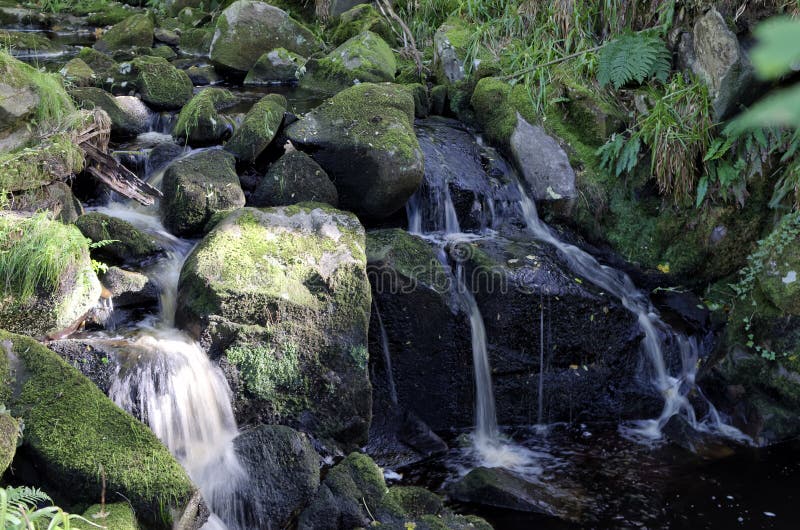 Small Forrest River and Waterfall Landscape Stock Photo - Image of ...