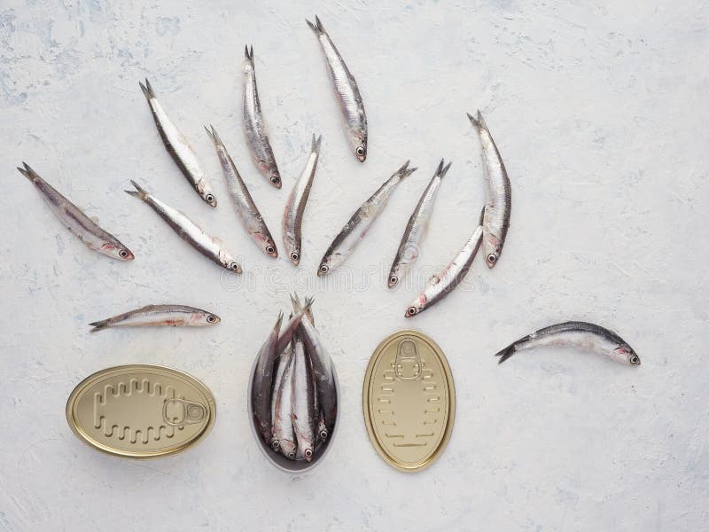 Small Fresh Fish and Canned Fish Stock Image - Image of canning, canned ...