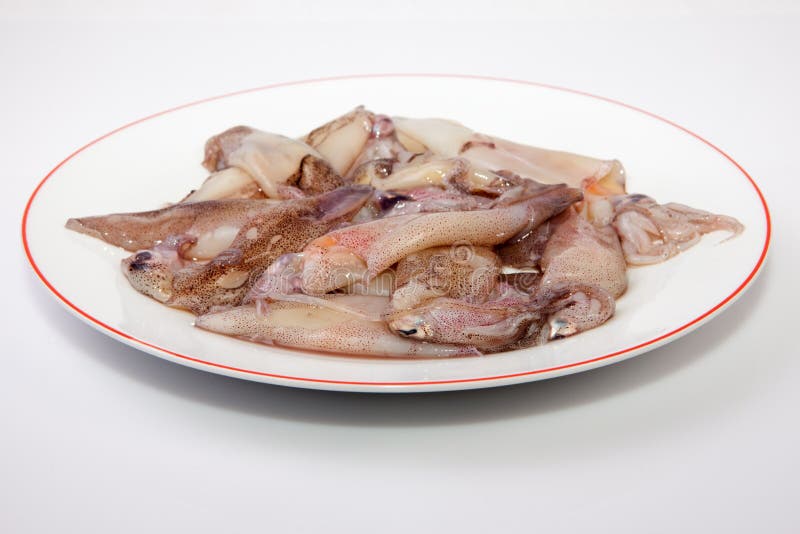 Small freshly squids stock photo. Image of invertebrate - 49987254