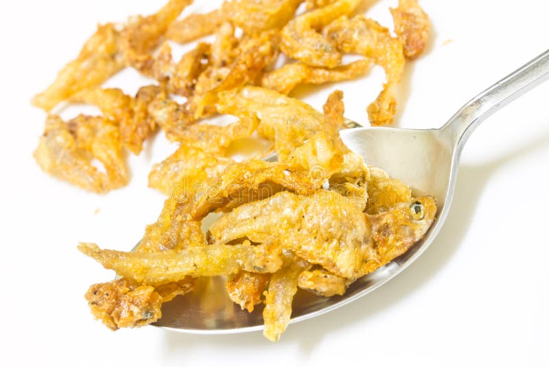 Small Fried fish stock image. Image of fish, fishes, crispy - 59070475
