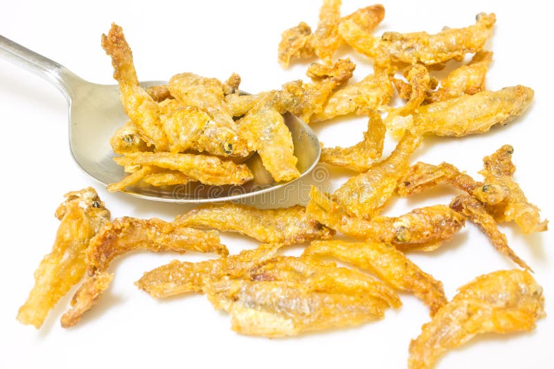 Small Fried fish stock image. Image of fish, fishes, crispy - 59070475