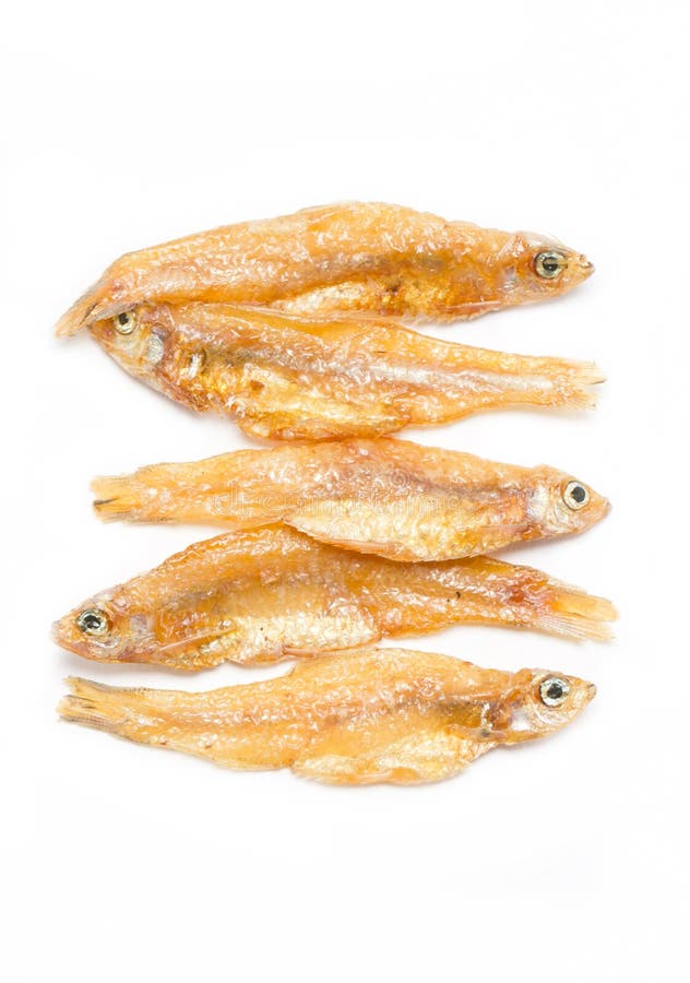 Small Fried Fish. stock image. Image of cooking, omega - 34522659