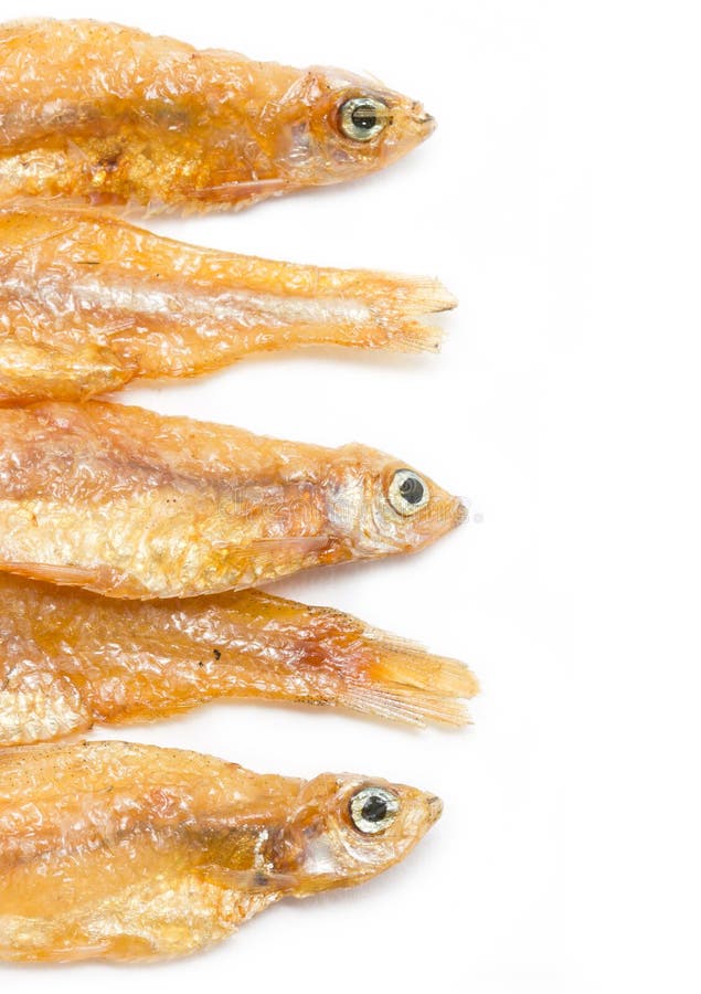 Small Fried Fish. stock image. Image of breakfast, dietetics - 34524733