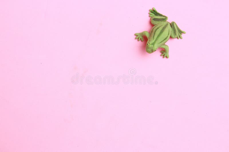 Small Frog Toys on a Pink Surface Stock Image - Image of animal, child ...
