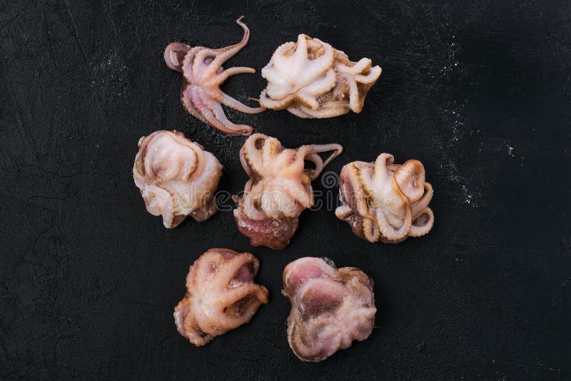 Small Frozen Octopus on Black Background Stock Image - Image of ...