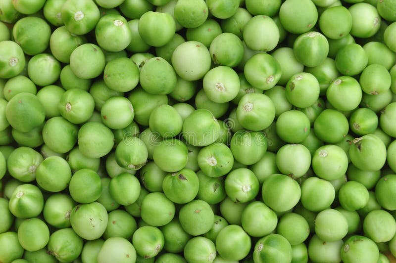 Small fruit stock photo. Image of farming, date, leaf - 15356220