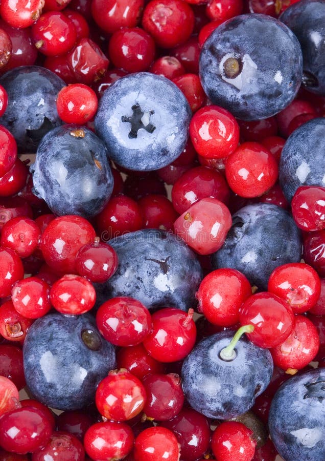 Small Fruits among Ice Cubes Stock Photo - Image of colourful, diet ...