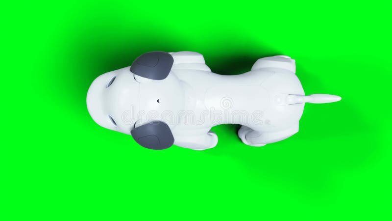 Small Funny Robotic Smart Dog, Pet. Green Screen Isolate. Stock Video ...