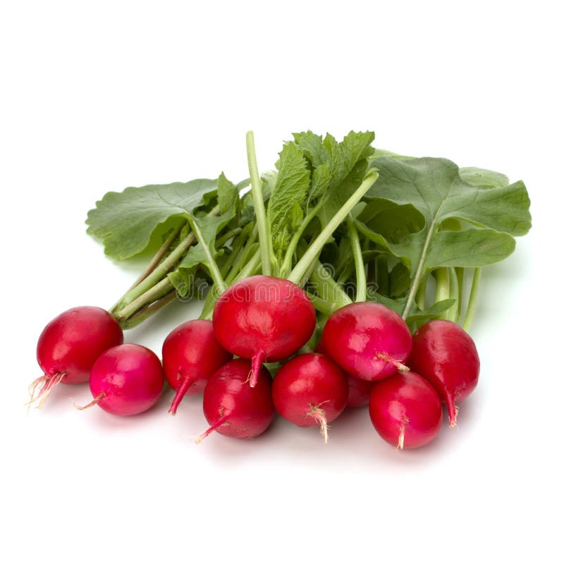Small garden radish stock photo. Image of healthy, food - 34286328