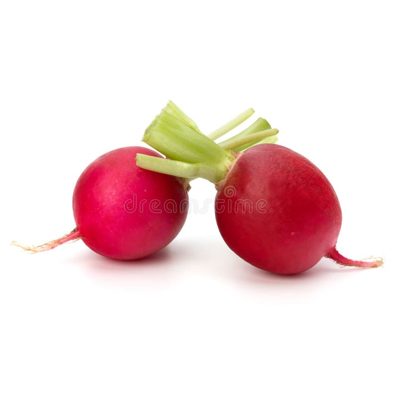 Small garden radish stock image. Image of fresh, radish - 39128627