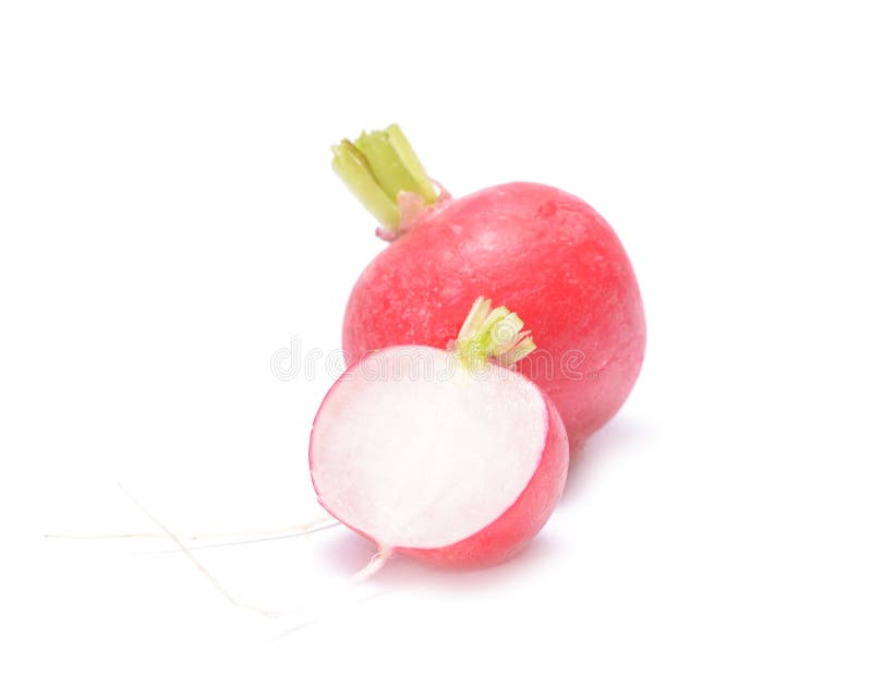 Small garden radish stock photo. Image of nutrition, bunch - 84115062