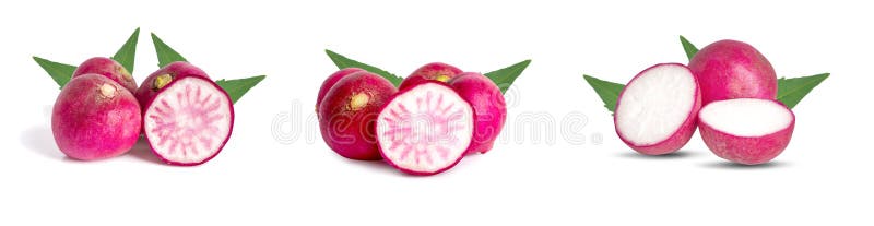 Small Garden Radish with Leaf an Isolated on White Background Stock ...