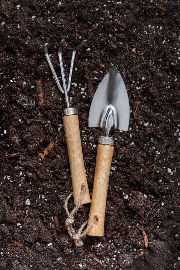 Small garden tools on soil stock image. Image of botany - 179064719