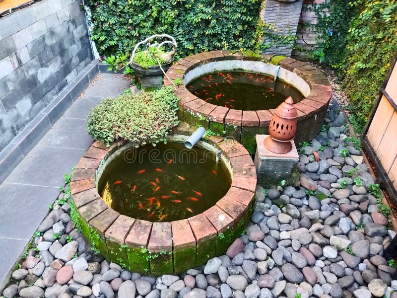 Small Garden with Two Round Fish Ponds Stock Photo - Image of fish ...