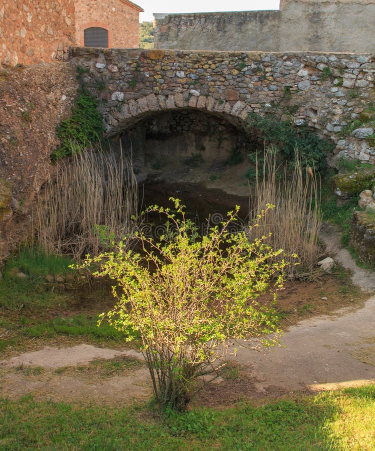 The Small Garden Under the Old Bridge Stock Photo - Image of extrem ...