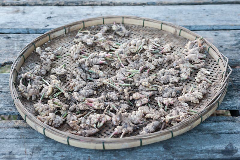 Small Ginger in Bamboo Basket Stock Image - Image of organic, market ...