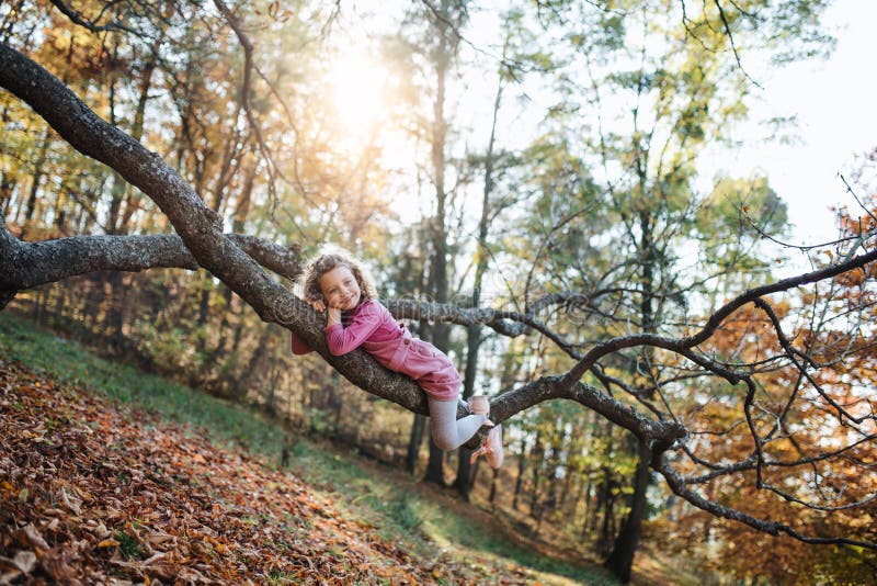 Girl lying under a tree stock photo. Image of hair, meadow - 20462528