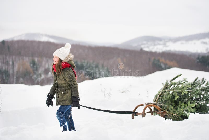A Small Girl Pulling a Christmas Tree in Forest. Stock Image - Image of ...