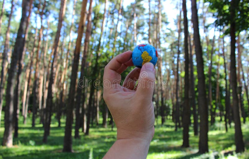Small Globe in Human Fingers at the Forest with Green Trees Stock Image ...